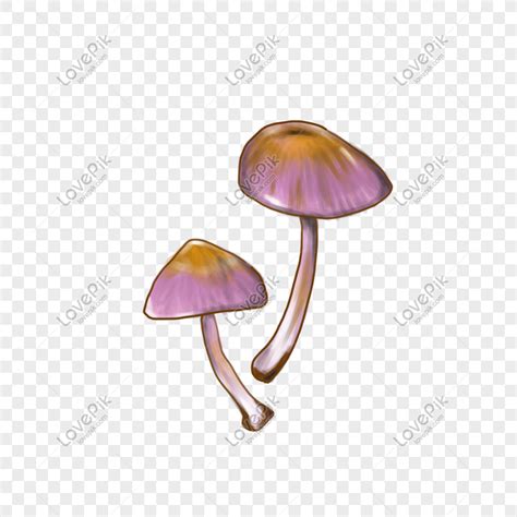 예쁜 버섯 그려진 버섯 손 Png 일러스트 무료 다운로드 Lovepik