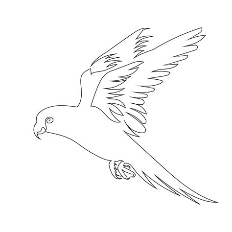 Parrot Bird Flying Line Art Drawing Style The Bird Sketch Black Linear