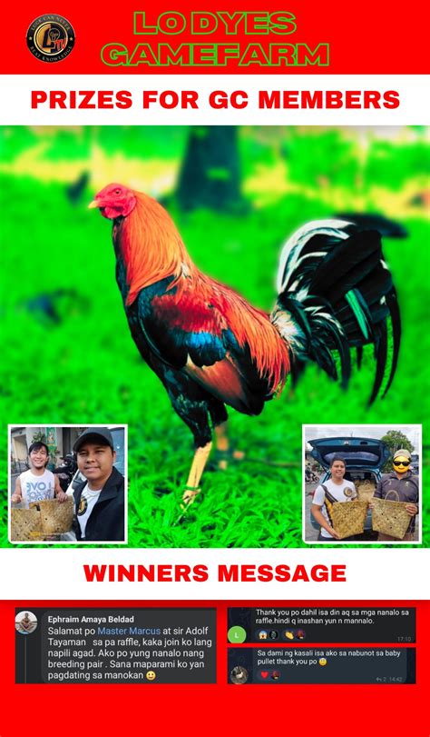 Team Berlin Free Breeding Materials Breeding Pair And