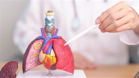 Whats The Difference Between Copd And Emphysema Northwest Texas Healthcare System