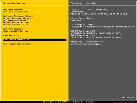 Configuring VMware ESXi 5