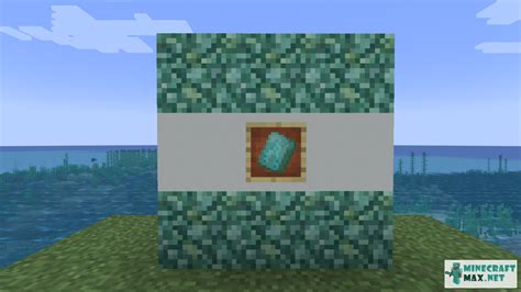 Tide Armor Trim How To Craft Tide Armor Trim In Minecraft Minecraft Wiki