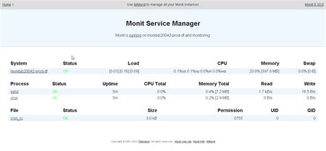 Guidance On Usage Monit Monitoring Server On Ubuntu 2004 Articentgroup