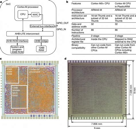 Arm And PragmatIC Semiconductor Design Inherently Flexible Bit PlasticARM Microprocessor