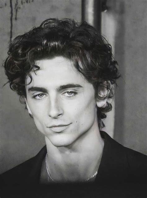 Pin By Cee Jay On Timmy Timothee Chalamet Mens Grooming Instagram