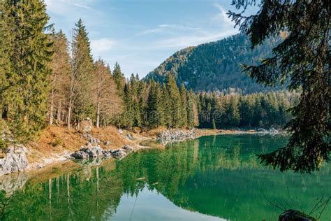 意大利富辛湖浅水绿树成荫 库存图片 图片 包括有 墙纸 包围的 结构树 横向 醉汉 反射 绿色 263457593
