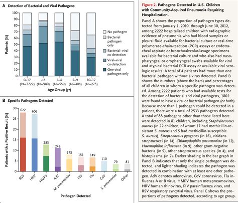 Community Acquired Pneumonia Amboss Rotation Prep