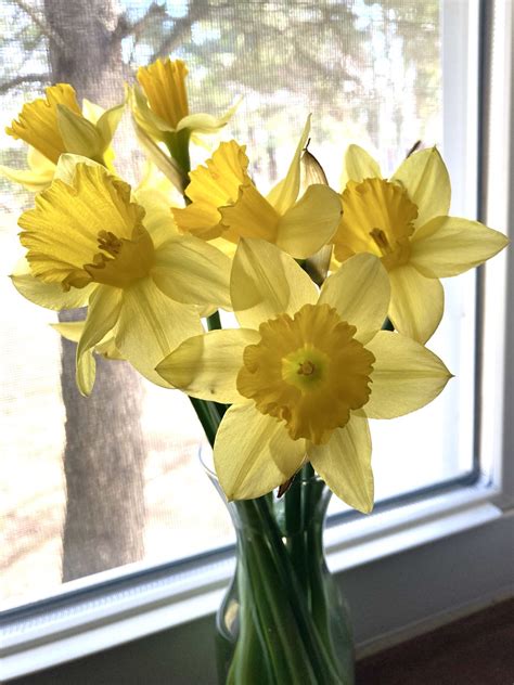 Spring Has Sprung Artofit