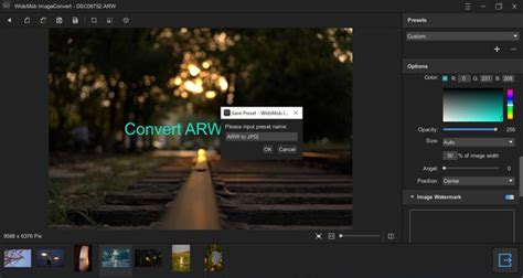6 Best ARW To Converter How To Convert ARW Files Easily