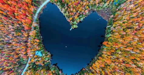 [지구촌 포토] 캐나다 가을 장관 단풍 속 하트 호수