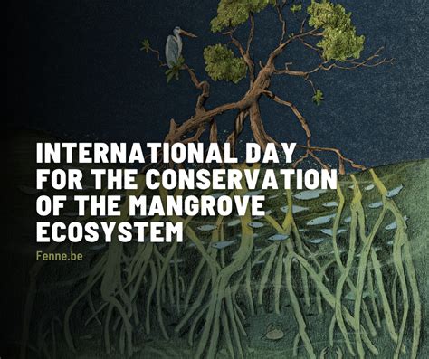 Fenne Be International Day For The Conservation Of The Mangrove