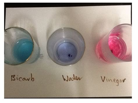 3 Simple Science Experiments To Try At Home Familiesmagazine Com Au