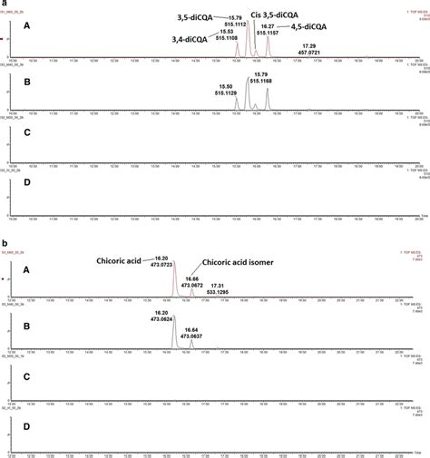 a representative uplc ms single ion monitoring sim chromatograms for