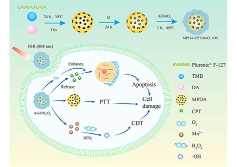 Surface Functionalized Mesoporous Polydopamine Nanocomposites For