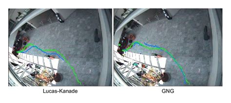 Estimated Trajectory Using Gng And Lucas Kanade Method In The Walksplit Download Scientific