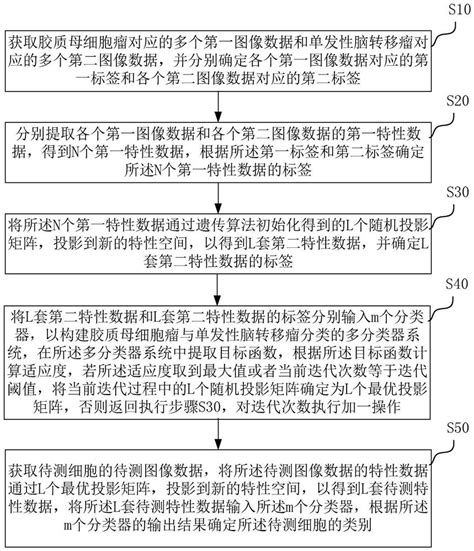 Tumor Cell Image Classification Method And Device Eureka Patsnap