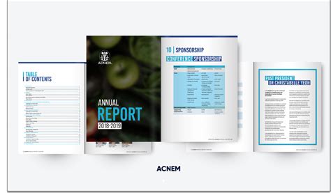 Annual Report Design UX Studios UX UI Design Custom Web Development Agency Brisbane