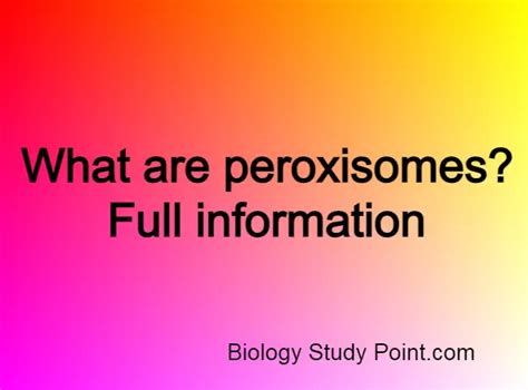 Peroxisomes Definition Functions Types Structure Discovered 2025