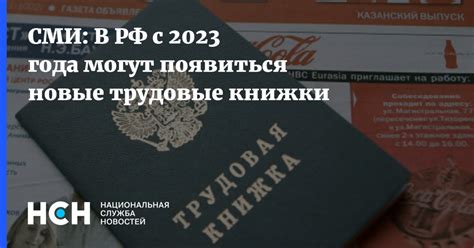 СМИ В РФ с 2023 года могут появиться новые трудовые книжки