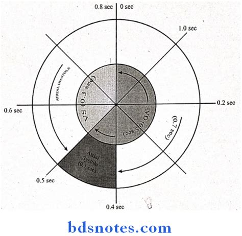 Cardiovascular System Question And Answers Bds Notes
