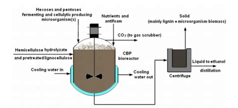 Consolidated Bioprocessing Consolidated Bioprocessing With Corn Stover
