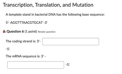 Solved Transcription Translation And Mutationa Template