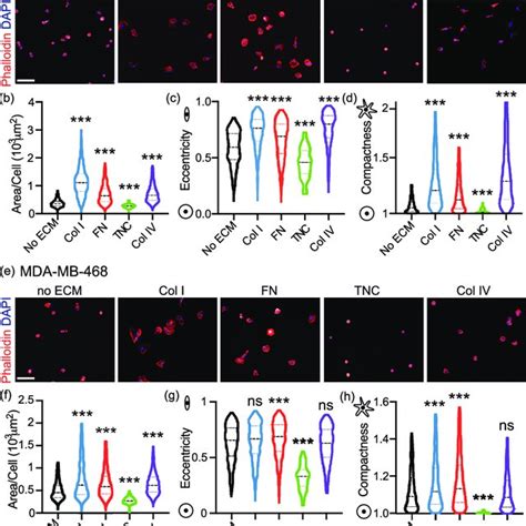 ecm driven 3d invasion does not correlate with effects on 2d cell