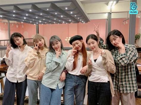 {rose} Vlive App Update Outfit Shoplook