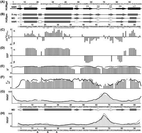Comparison Of The Structural Dynamic NMR And MD Data Obtained For The Download Scientific