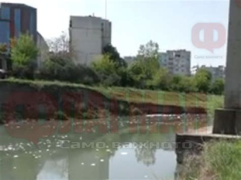 Замърсяване на река Тунджа в Ямбол