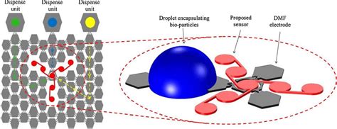 Schematic Of Integration Of Proposed Biosensor Between Hexagonal