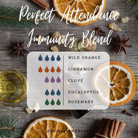 The Best Essential Oil Diffuser Blends For Back To School Homegrown Hopes