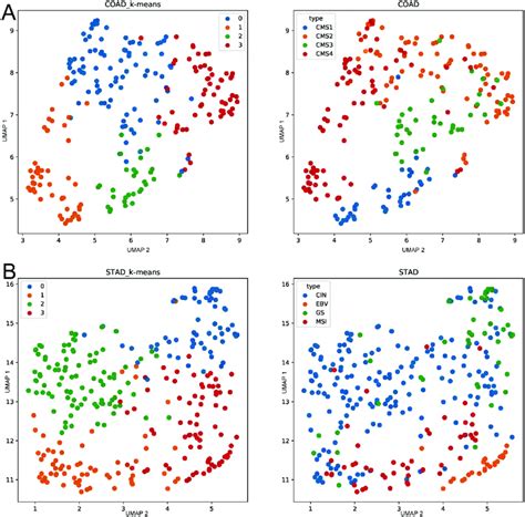 The K Means Clustering Result Using Mes Of Coad And Stad The A Coad Download Scientific