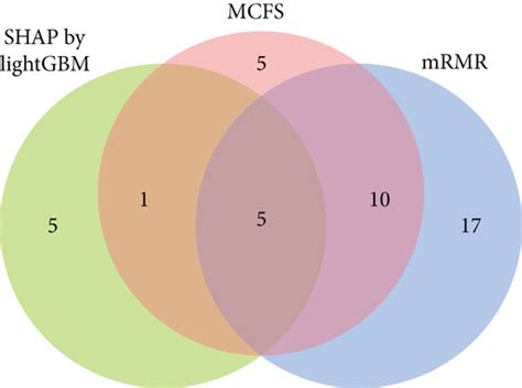 venn diagram to show the intersection of three feasible feature subsets