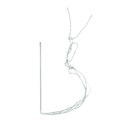 Ankle Syndesmosis Repair Loopit Surgical Impant Integrant Integrant