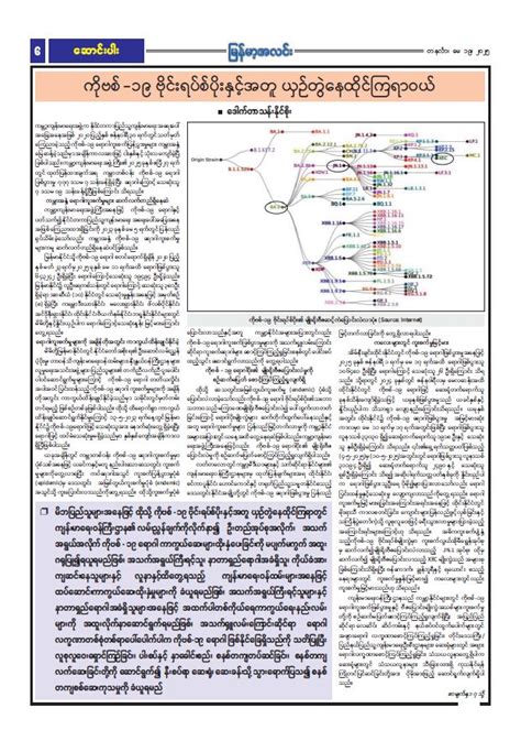 Ministry Of Health Myanmar Ministry Of Health Myanmar