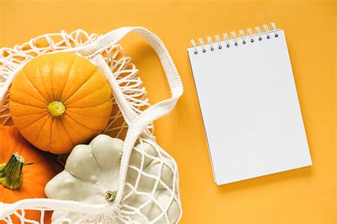 신선한 수확 야채 박 호박 쇼핑 환경 친화적 인 메쉬 백과 노란색 배경에 빈 메모장에 Pattypan 스쿼시 개념 유기농 야채 수확 탑 뷰 플랫 레이 모형 가방에 대한 스톡