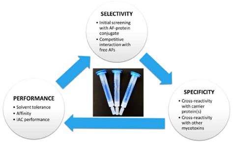 Scheme For Afs Specific Antibodies To Be Used For Immunoaffinity Column Download Scientific Scheme For Afs Specific Antibodies To Be Used For Immunoaffinity Column Download Scientific