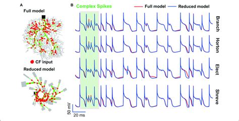complex spikes reproduced by reduced models a full and reduced