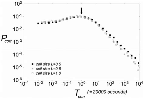 The Log Log Plots Between P Corr Versus T Corr Based On The Bcds Model