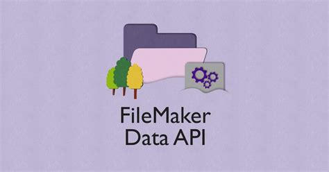 Filemaker Data Api Introducing Infinite Capabilities For Your Application