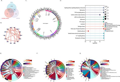 Lactate Related Gene Signatures As Prognostic Predictors And Comprehensive Analysis Of Immune