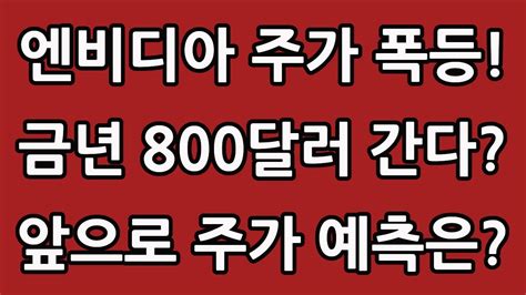 엔비디아 주식 주가 전망 Tqqq Soxl Tmf 테슬라 아이온큐 니콜라 팔란티어 루시드 Tiger 타이거 차이나 전기차 Solactive 플러그파워 Nvda 800달러