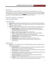 Exercise 10 The Appendicular Skeleton Pdf REVIEW SHEET The Appendicular Skeleton Name C I