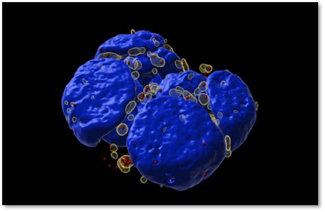 Anthony Khong Nus Csi