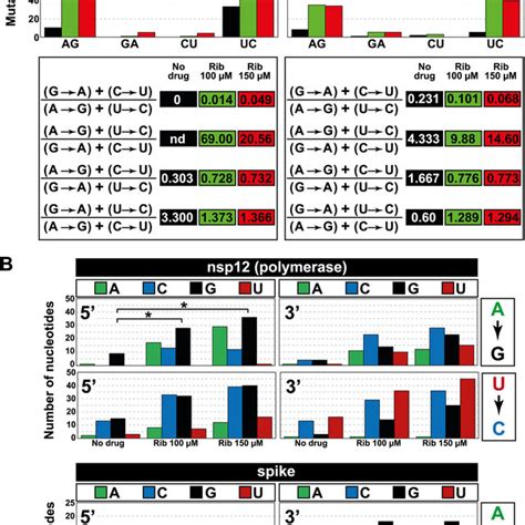 Mutation Types Evoked By Ribavirin On Sars Cov 2 And Neighbor Download Scientific Diagram