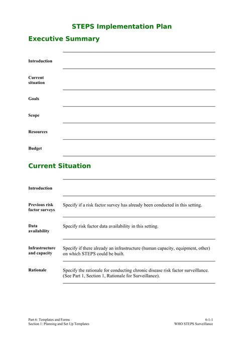 Free Printable Implementation Plan Templates Excel Word Pdf
