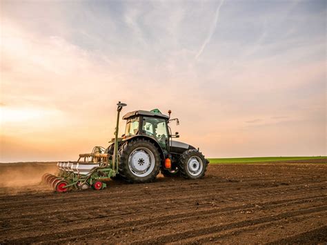 Gmo Detection Invitek Diagnostics