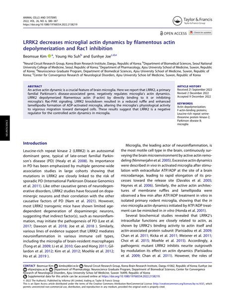 Pdf Lrrk2 Decreases Microglial Actin Dynamics By Filamentous Actin Depolymerization And Rac1