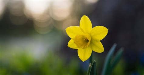 Cancer Society Nz — Managing Head And Neck Cancer Symptoms
